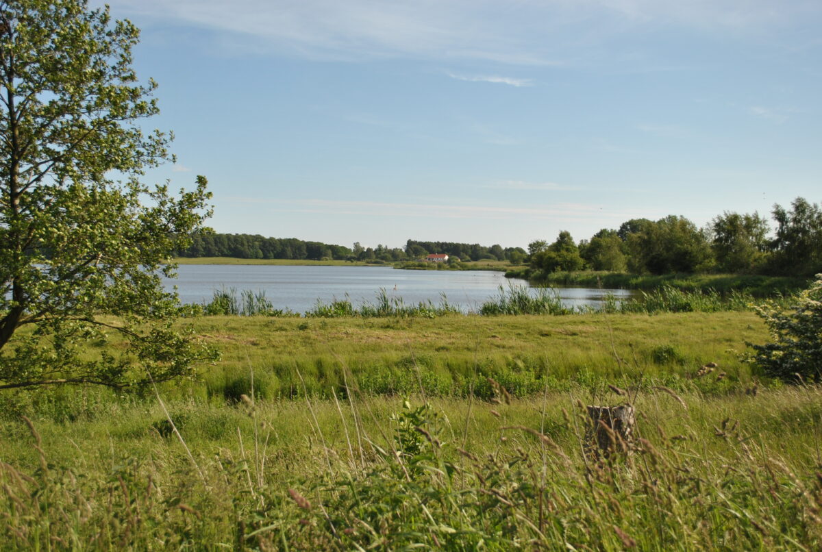 Solbjerg Engsø - Tisvildevejen